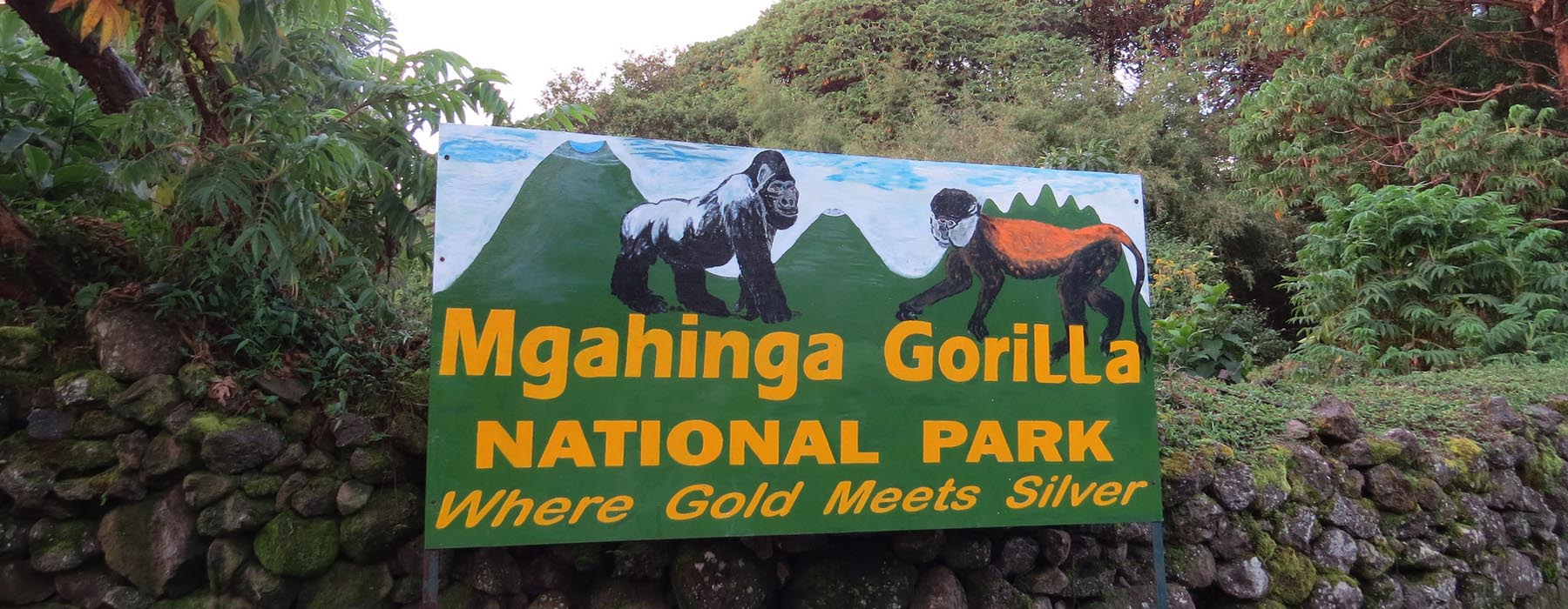 History of Mgahinga - Mgahinga Gorilla National Park